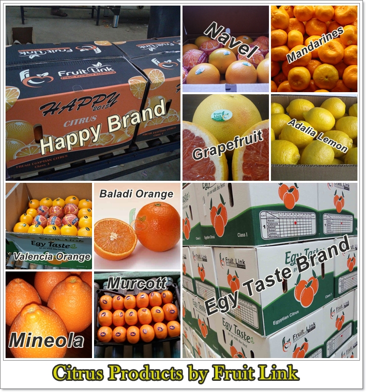 Citrus season finished , preparing for 2016 harvest . - Fruit Link ...