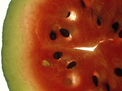 Egyptian Watermelon , Mixture of Vitamins and Taste - Fruit Link Fresh ...